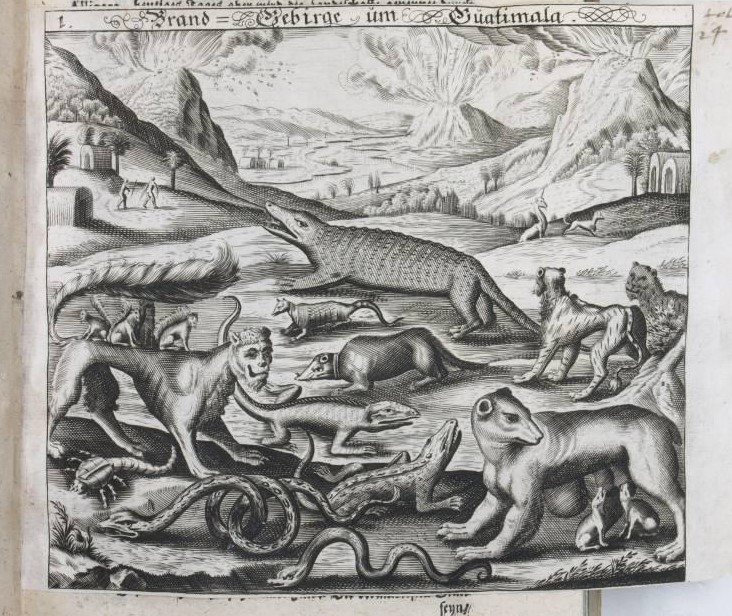 Carlo Emanuele I e il sucarate – Query Online